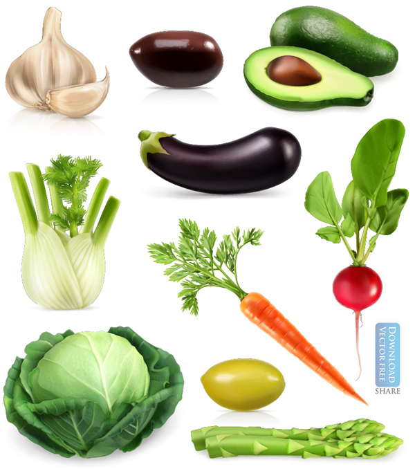 Mẫu rau củ quả sạch vegetables vector 3793 ~ MrPixelVn - Chia sẻ Đồ họa ...