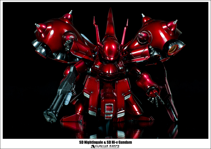 Build and Shoot: SD NIGHTINGALE & HI NU: CUSTOM BUILD