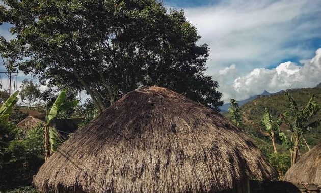 Rumah Adat Papua: Sejarah, Ciri Khas dan Penjelasannya Lengkap | Budaya ...