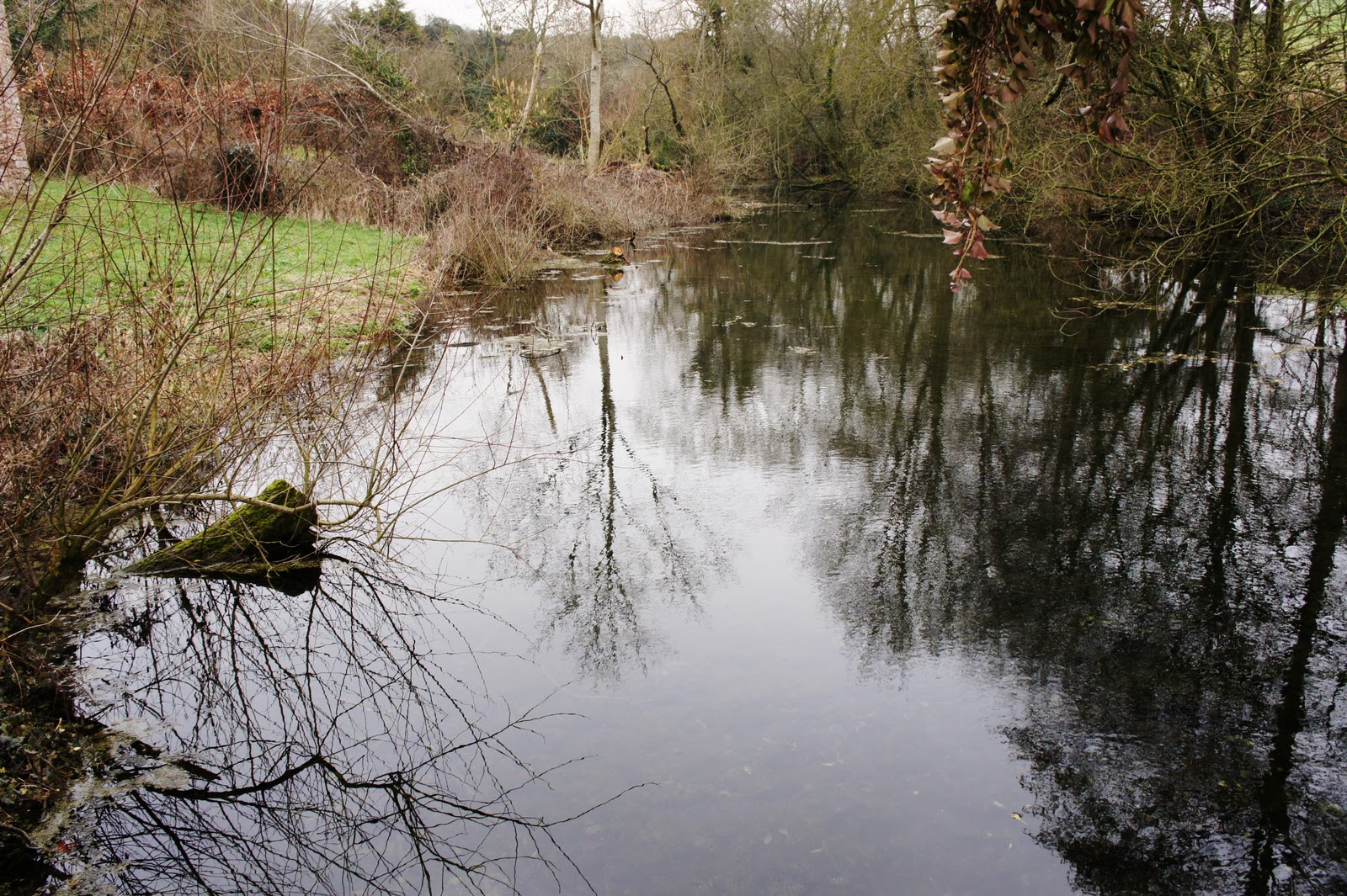 Mary's Monmouthshire Moments: Enchanting Valley with a small lost ...