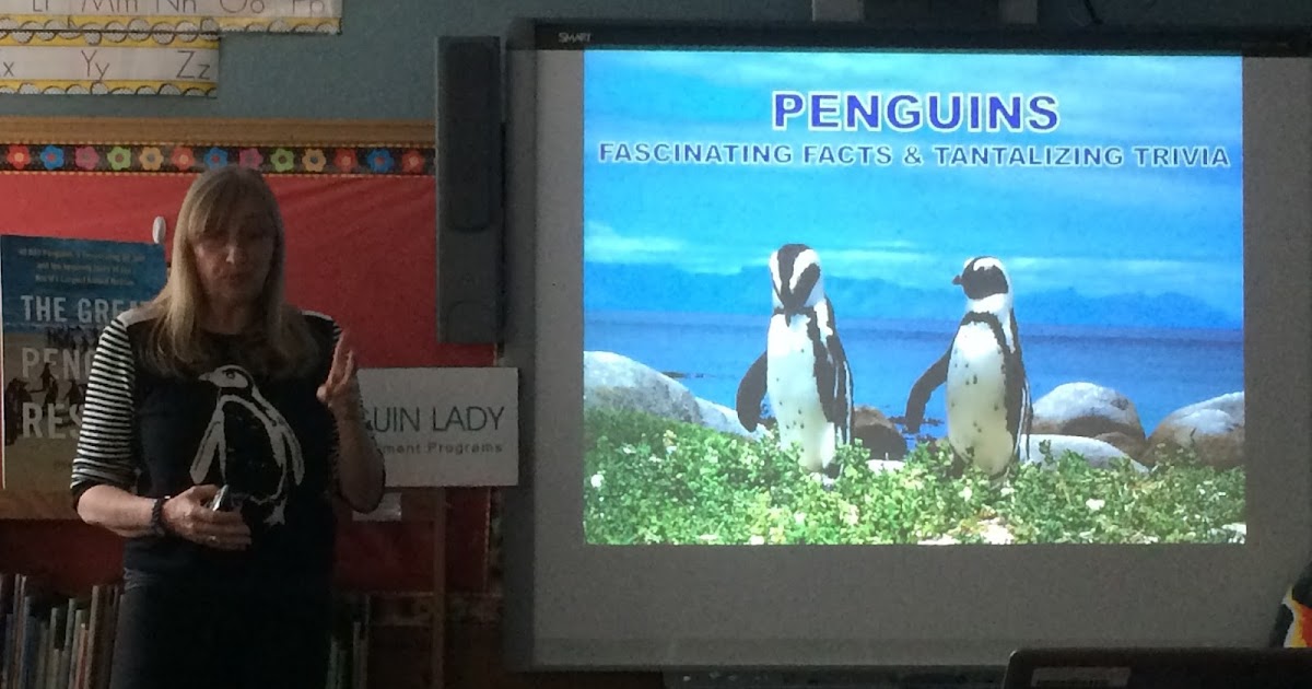 Mrs. Ford's Friends: The Penguin Lady