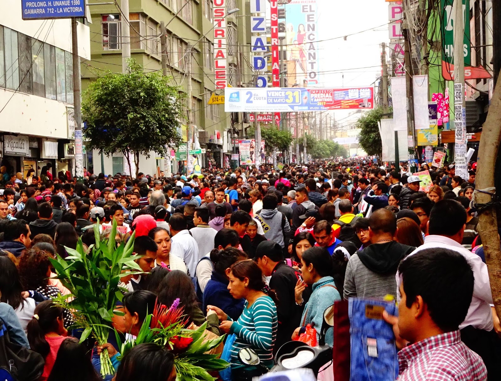 Mission to Peru: Arequipa Vision Project and around Lima - Gamara and ...