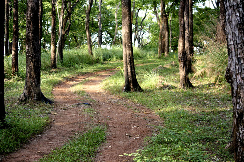 Tamilnadu Tourism: Athri Hills, Alwarkurichi, Thirunelveli