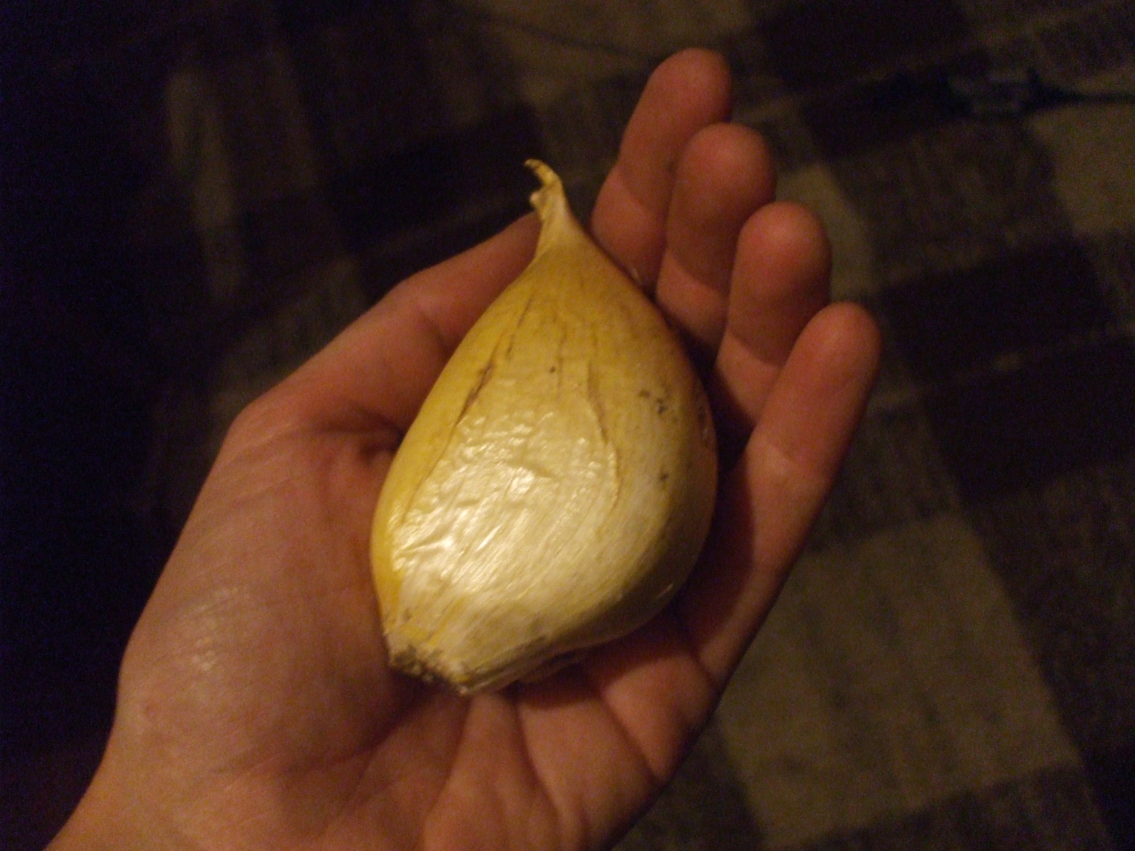 Adri en Chile: Puerto Montt y Puerto Varas