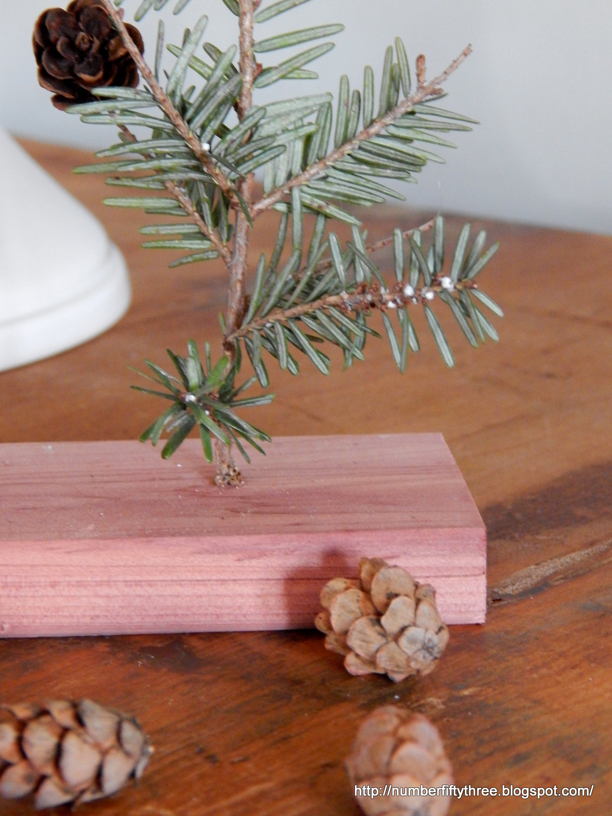Number Fifty-Three: Mini Cedar & Pine Trees