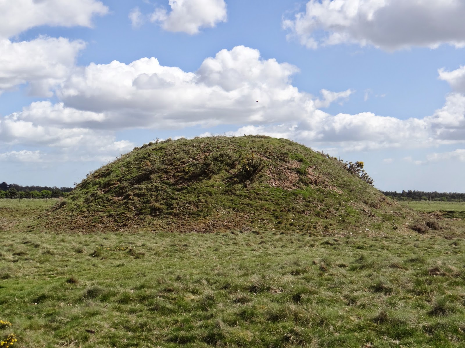 Marsh Towers: Sutton Hoo