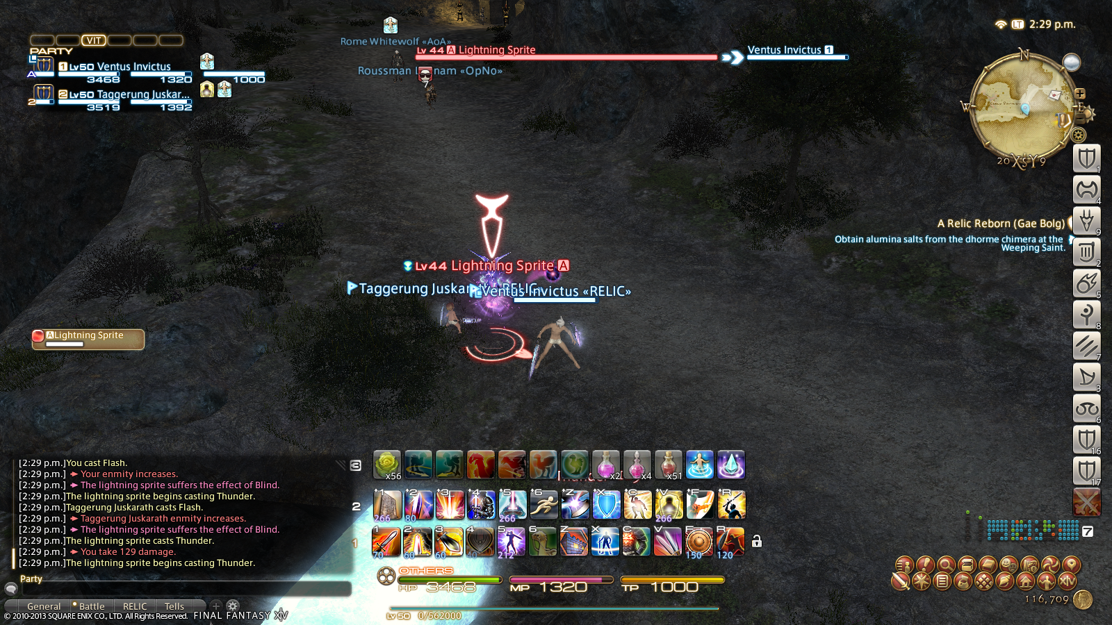 Warrior Tanking in Wildstar: Endgame Paladin Guide and Enmity/Shield ...