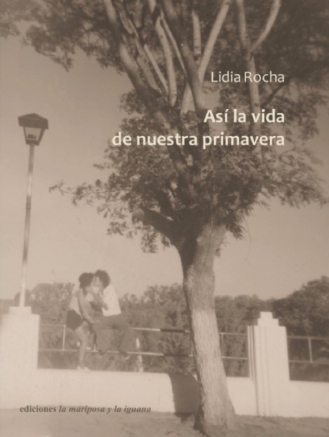 De lo que no aparece en las encuestas (nueva temporada): Lidia Rocha