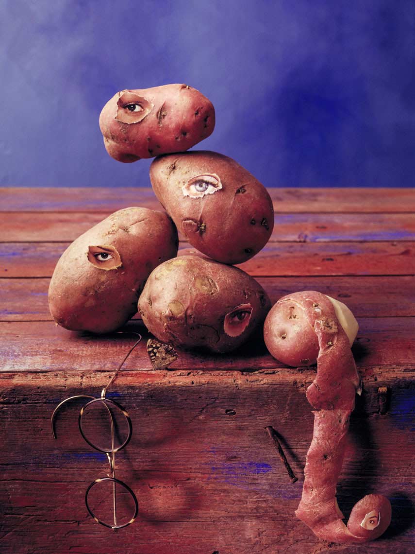 Paul Biddle Photographer