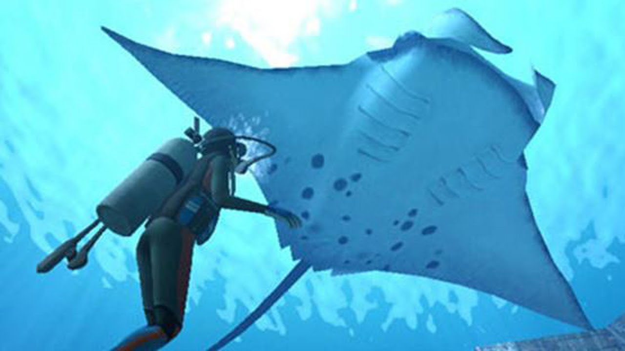 EL CAJON DE LOS CONOCIMIENTOS: MANTARRAYA