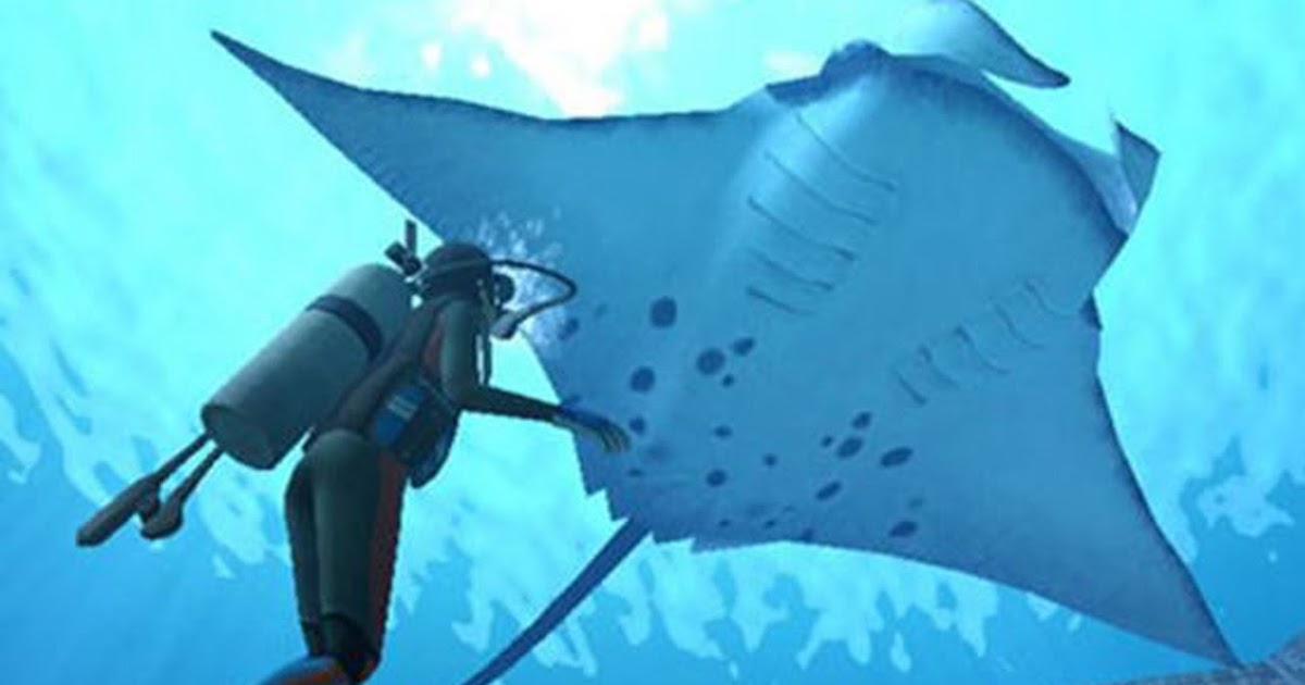 EL CAJON DE LOS CONOCIMIENTOS: MANTARRAYA