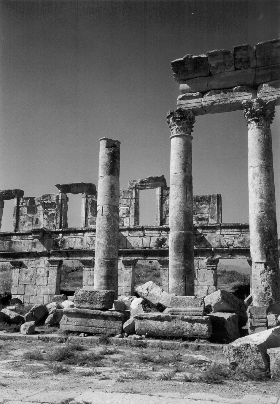 Itinerari e culture: Apamea