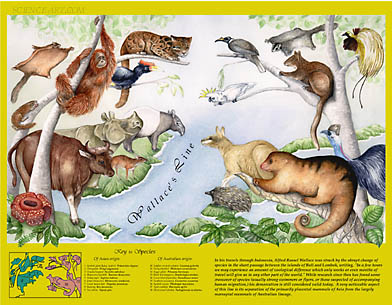 Geografika Nusantara: Indonesia's Wallace Line and an Introduction to ...