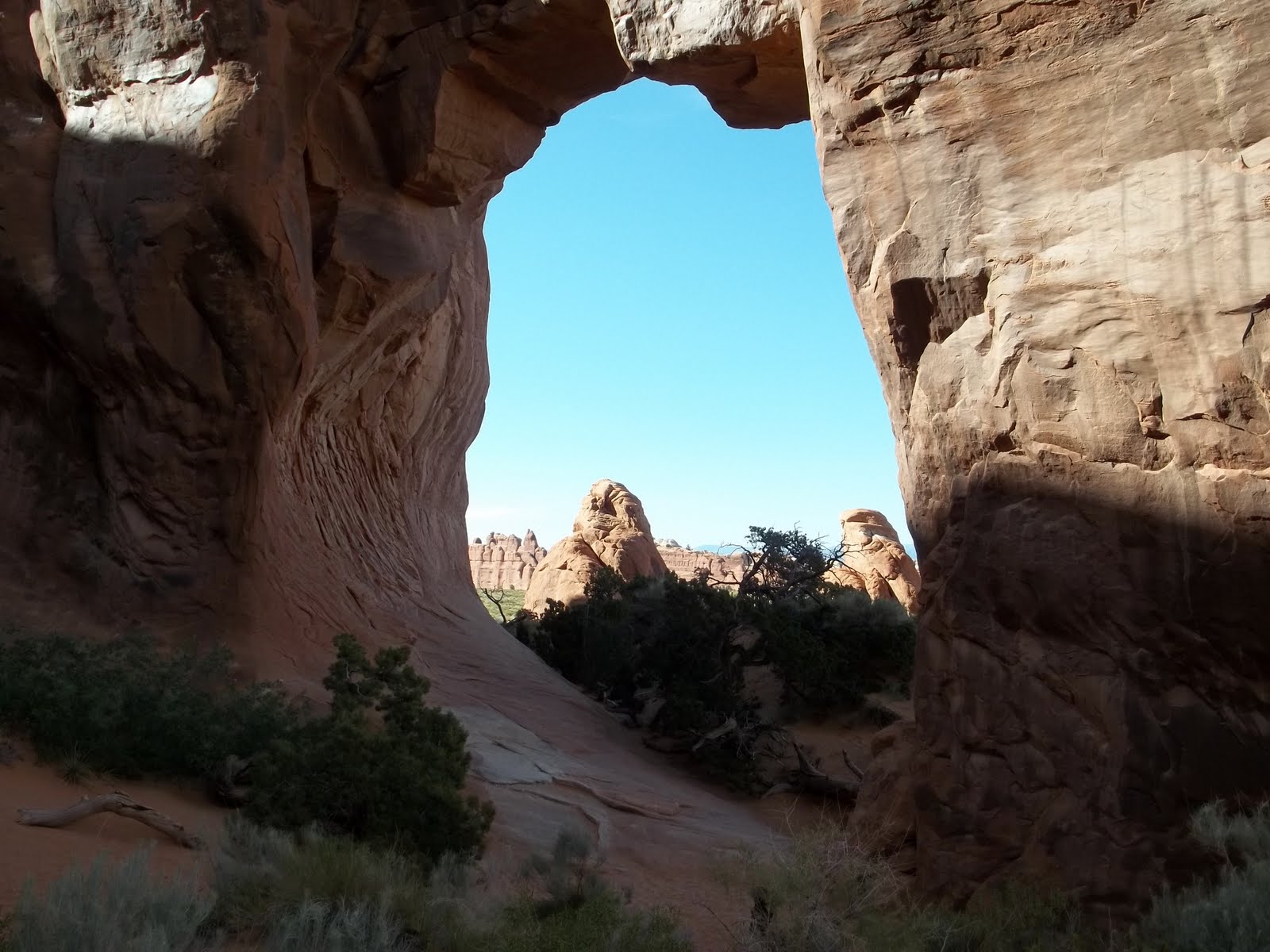 gjhikes.com: Pine Tree Arch