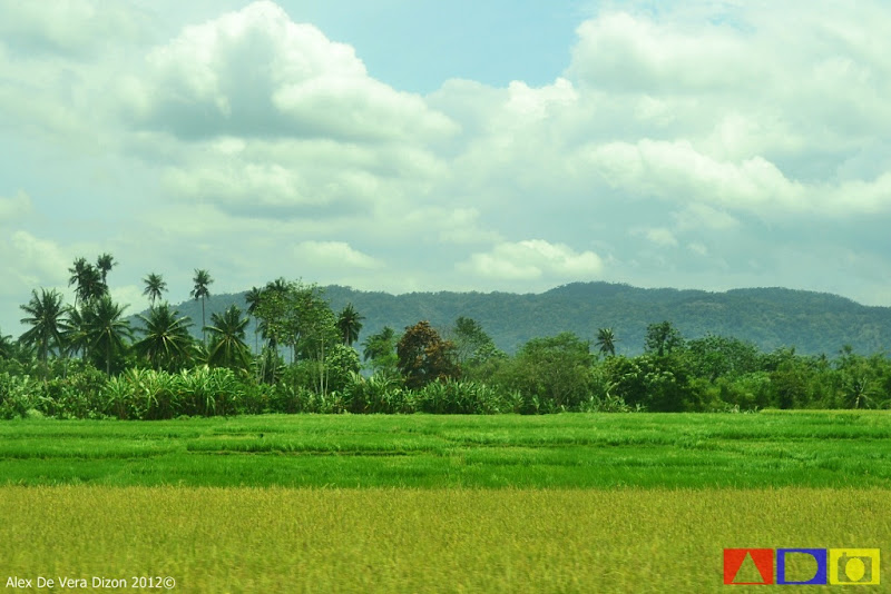 Rammmpa!: Nature and Me at Costales Nature Farms