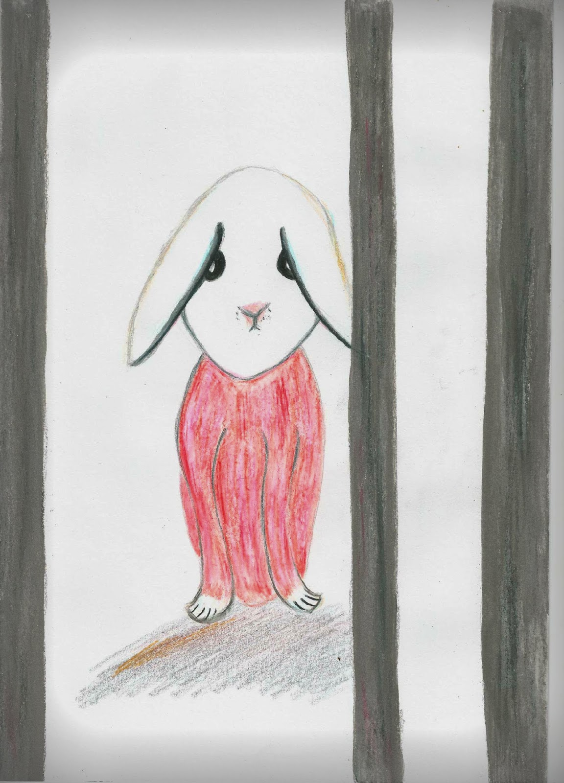 Angora Rabbit Fur Cartoons