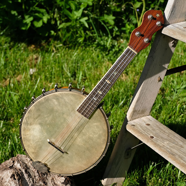1920s Oscar Schmidt-made Sovereign Banjo Uke/Melody Banjo Conversion