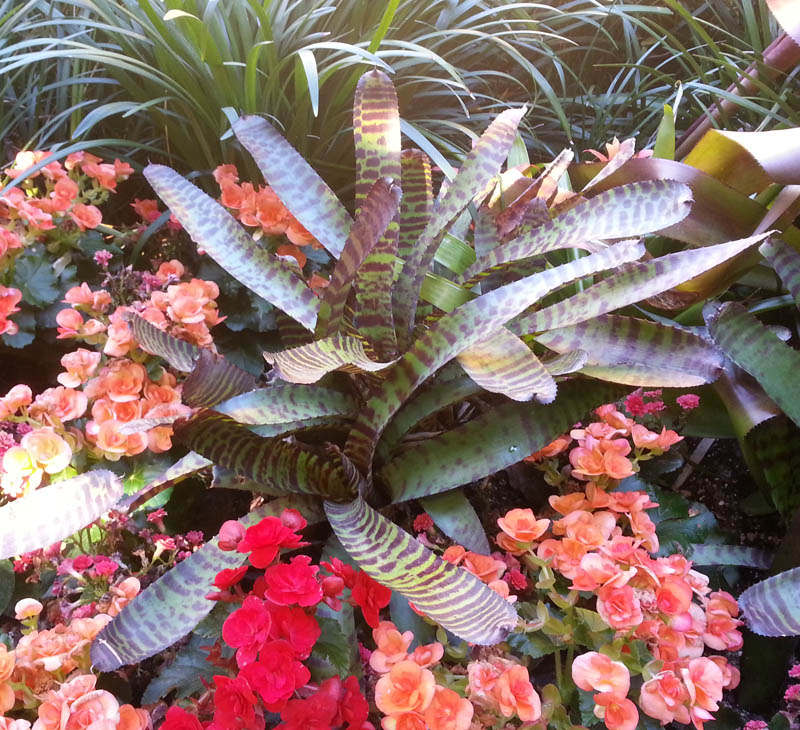 The Gardening Me: Aaaand.....we're back!