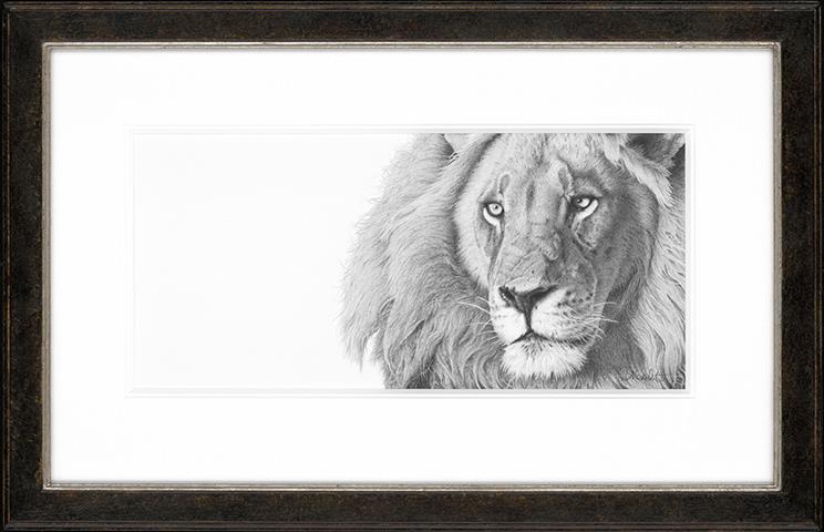 Clive Meredith Wildlife Art: Newly framed pencil drawings
