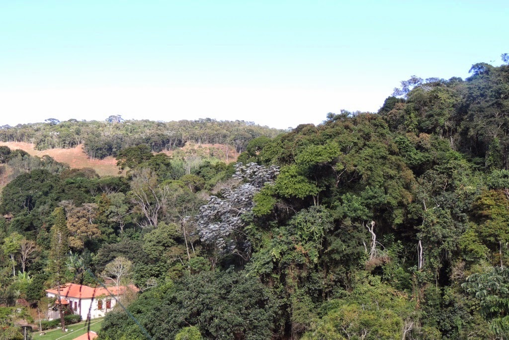 Por amor às cidades: Matas do Deserto, Paraíso - Viçosa