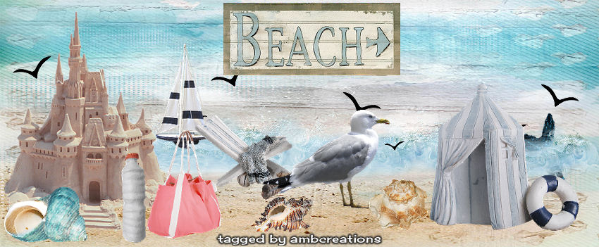 Amy Marie's Tag Creations: Beach Life Timeline Set