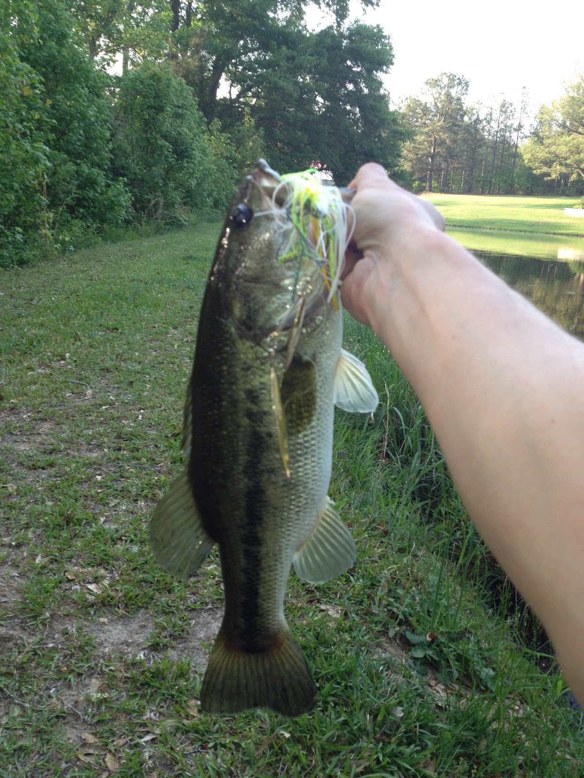 Jason's Adventures in Kayak Fishing: Early Summer Pond Fishing