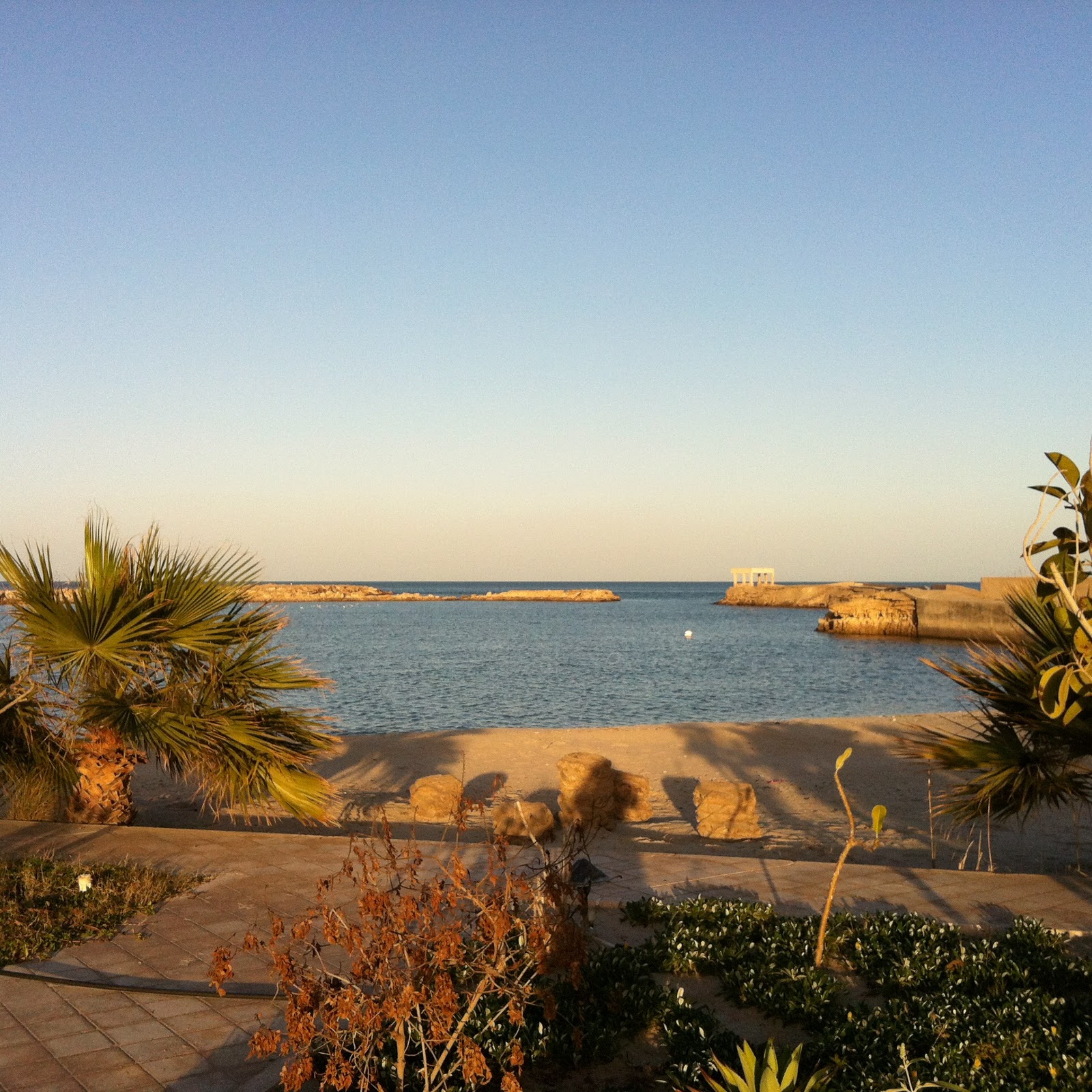 KuwaitASecond: Inshallah, Habibi!