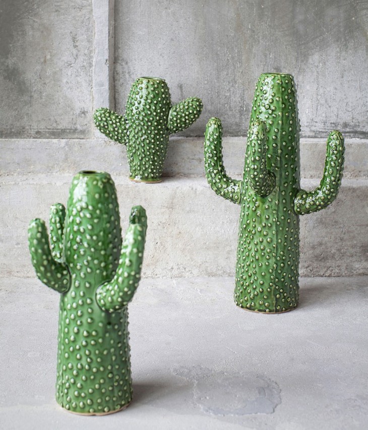 Huis Decoratie Cactus