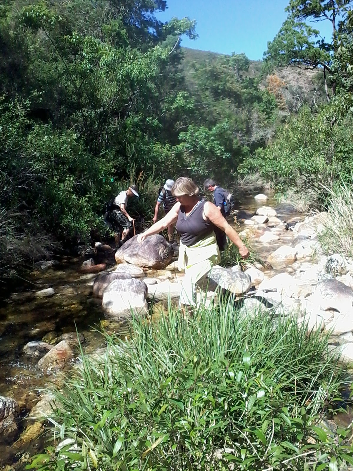 PETER GIDDY.: GROENDAL RESERVE AND BLINDEKLOOF HIKING TRAIL