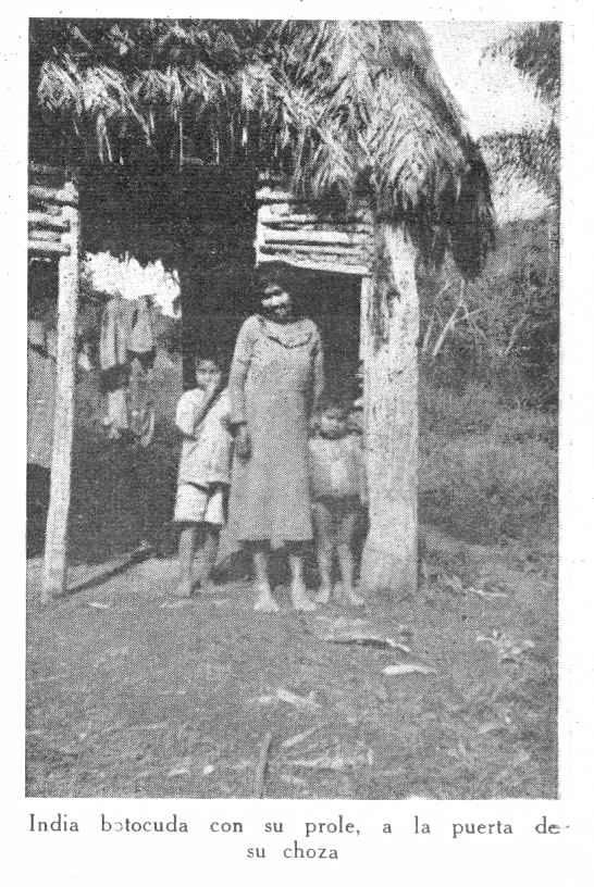 Quantulumcumque: Los botocudos