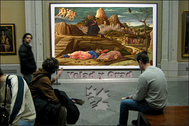 LA HOJA DEL ARCE: VELAR PARA PRESERVAR