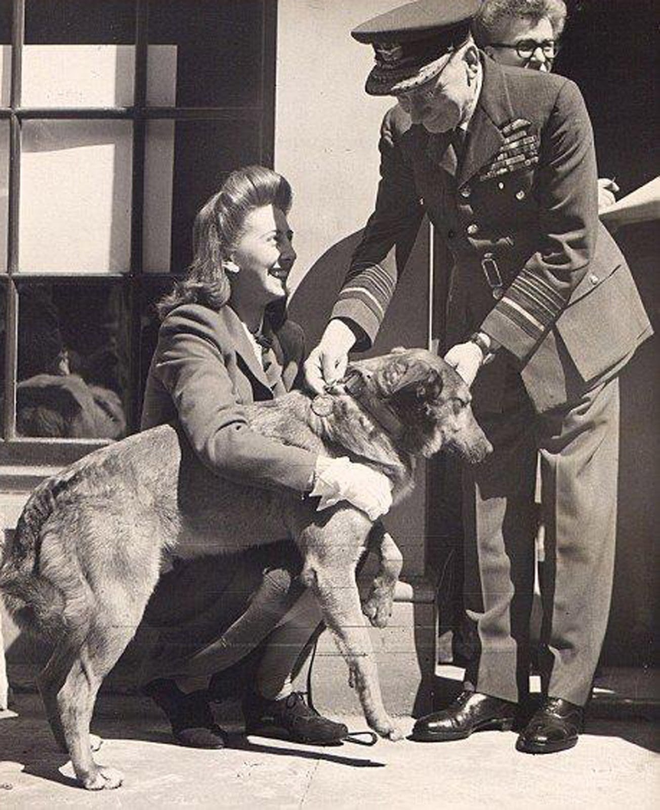 HomeCountry: PAYING TRIBUTE TO THE “DOGS OF WAR”