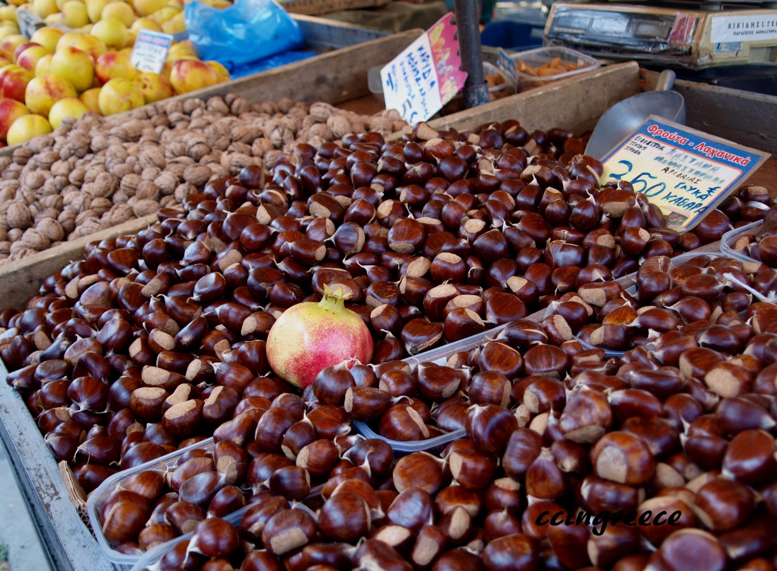 Rice, beans & pastichio...: 2011