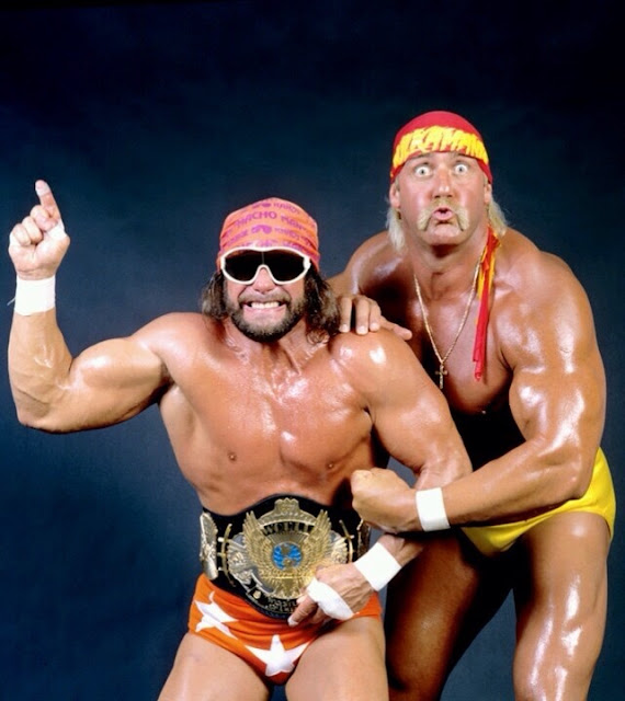 Genre Bias: Feud For Thought: The Mega-Powers Explode!