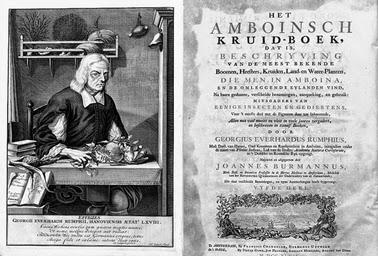 Durian Info: The Origin of Durian