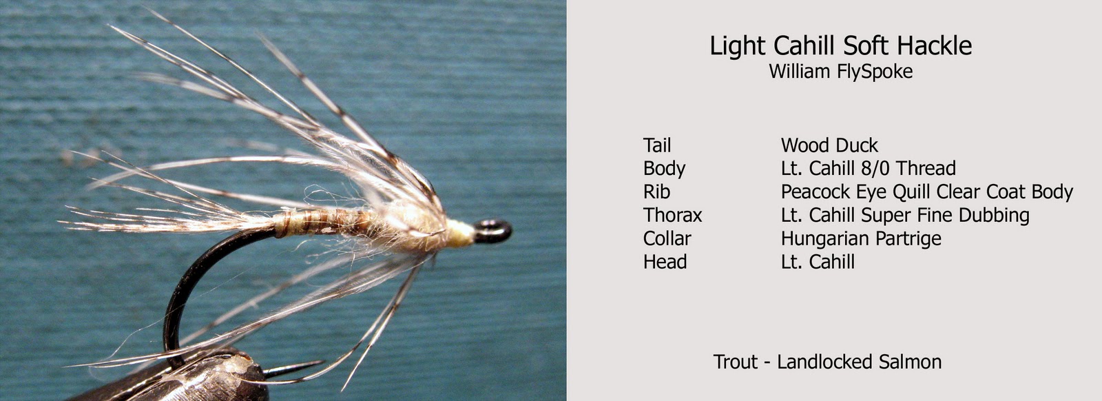 FlySpoke: FlySpoke Fly Patterns