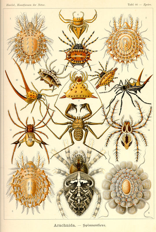 A History of Graphic Design: Chapter 31 - The German Jugendstil and ...