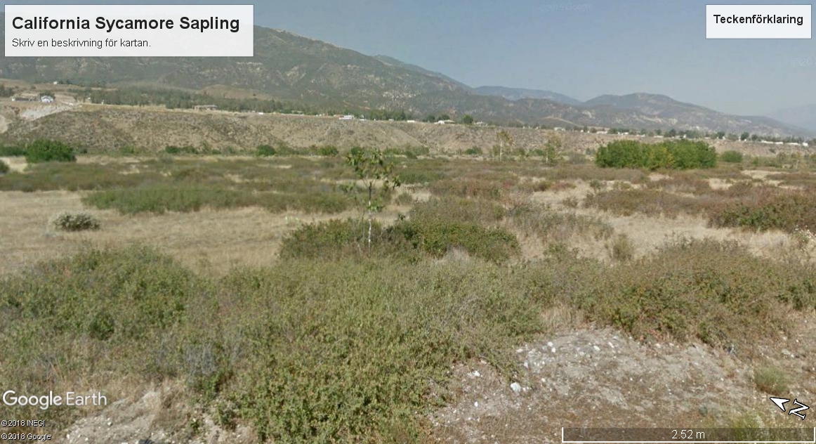 Timeless Environments: Municipal Infrastructure can influence the ...