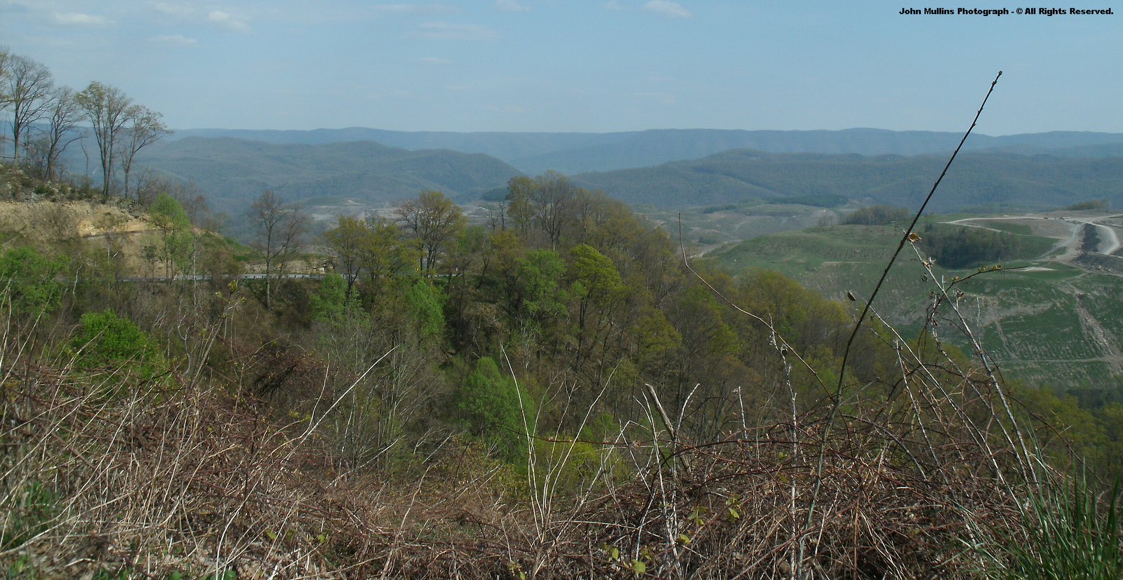 The High Knob Landform: April 2012 - Spring Majesty In Maple Gap