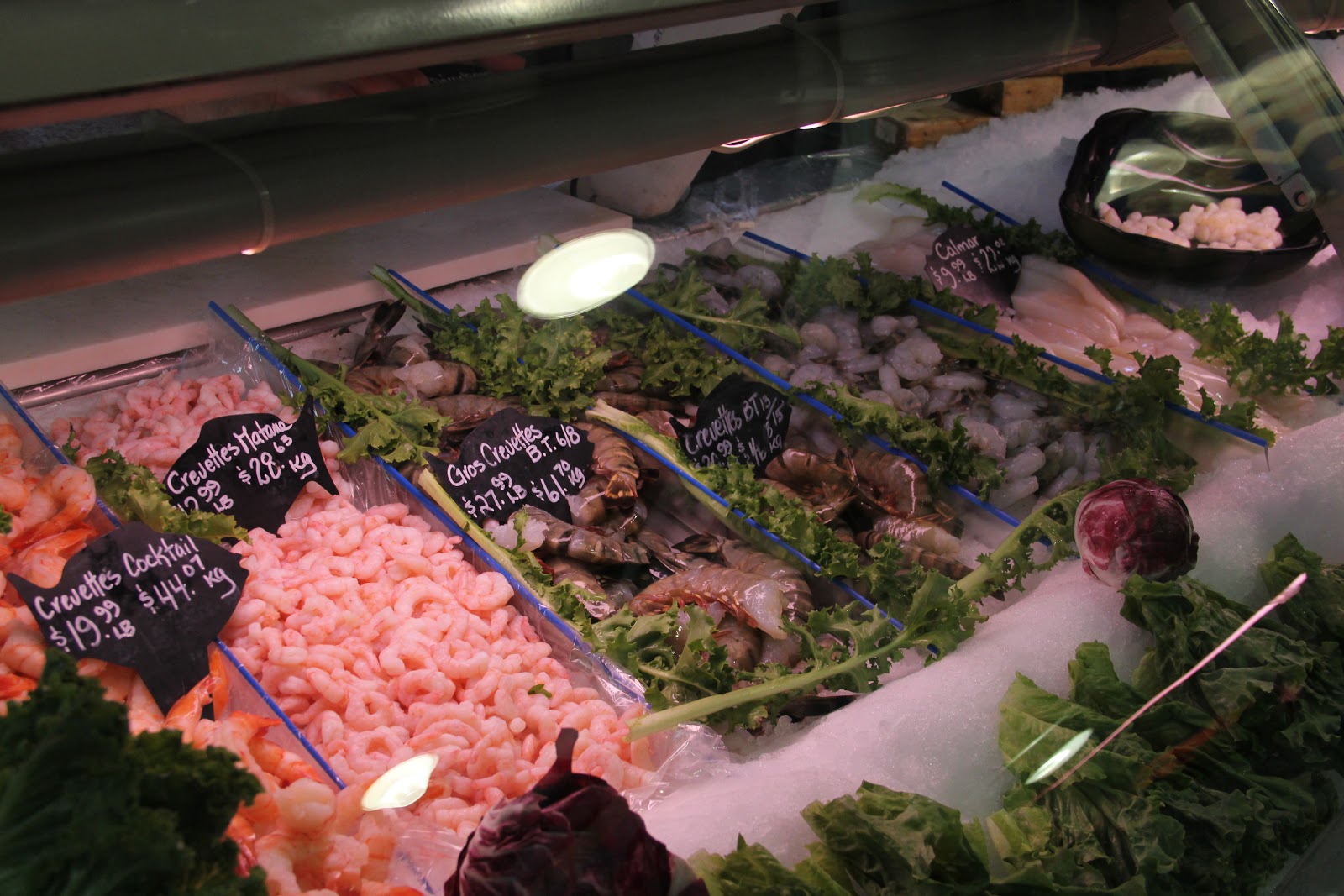 Jean Talon Market [Montreal] | CJ NOMS