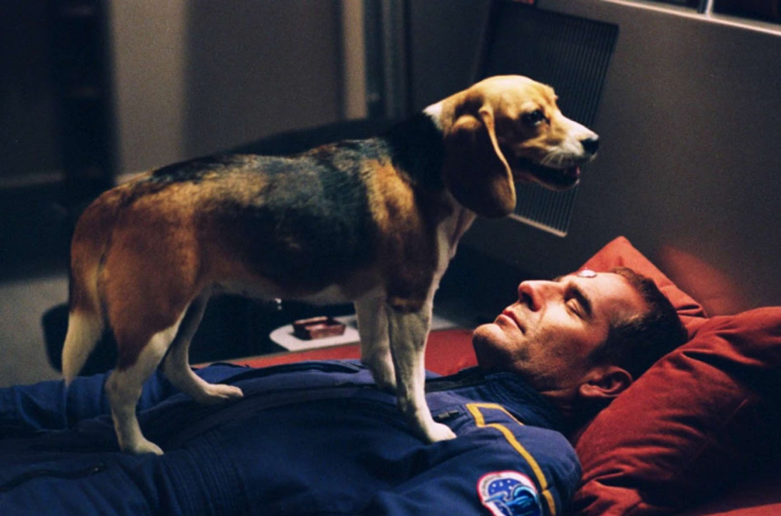 Game Of Thrones Houses: CELEBRATING TEN YEARS OF 'STAR TREK: ENTERPRISE'