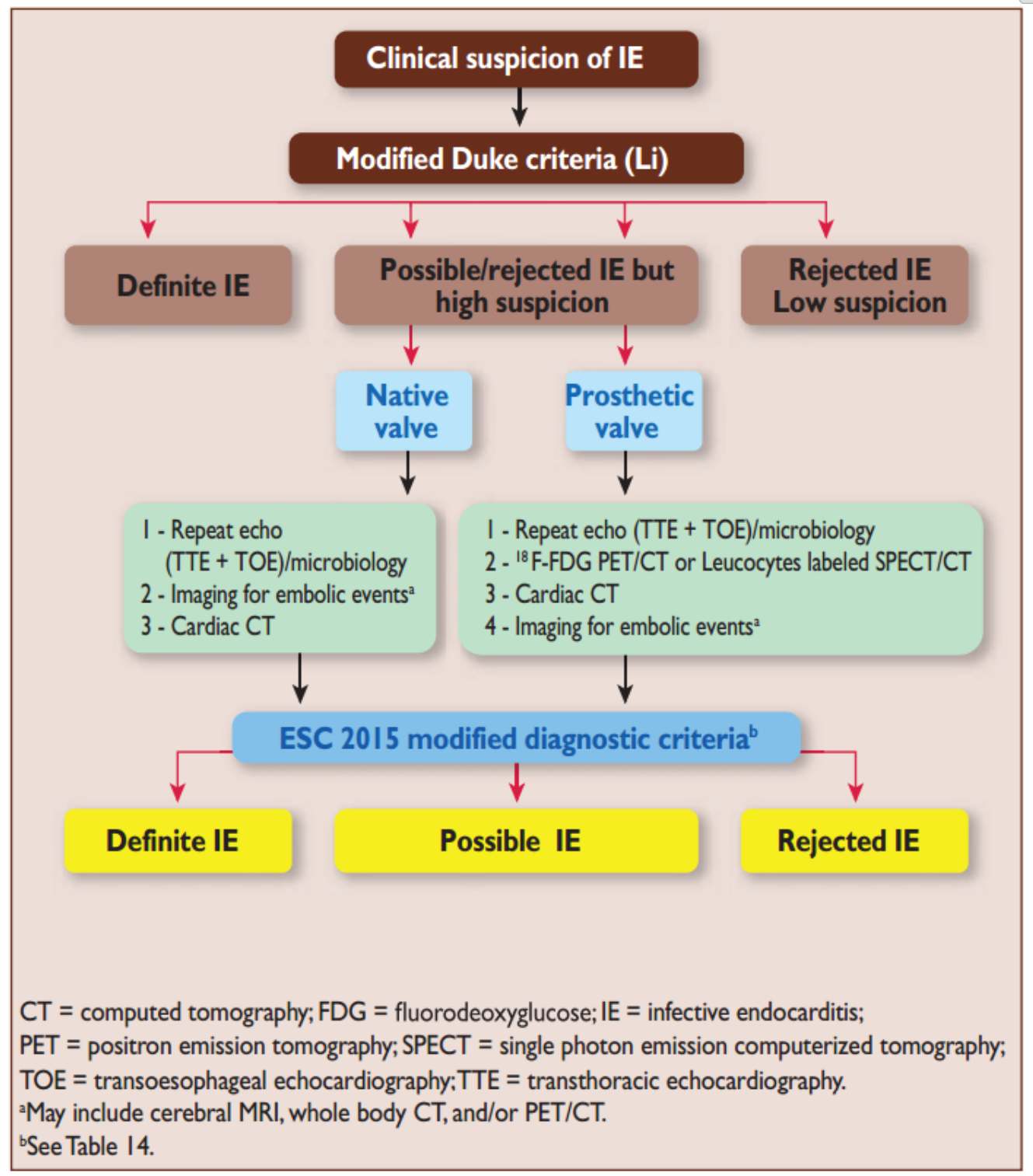 2015 ESC Guidelines For The Management Of Infective Endocarditis 2015-esc-guidelines-for-the-management-of-infective-endocarditis