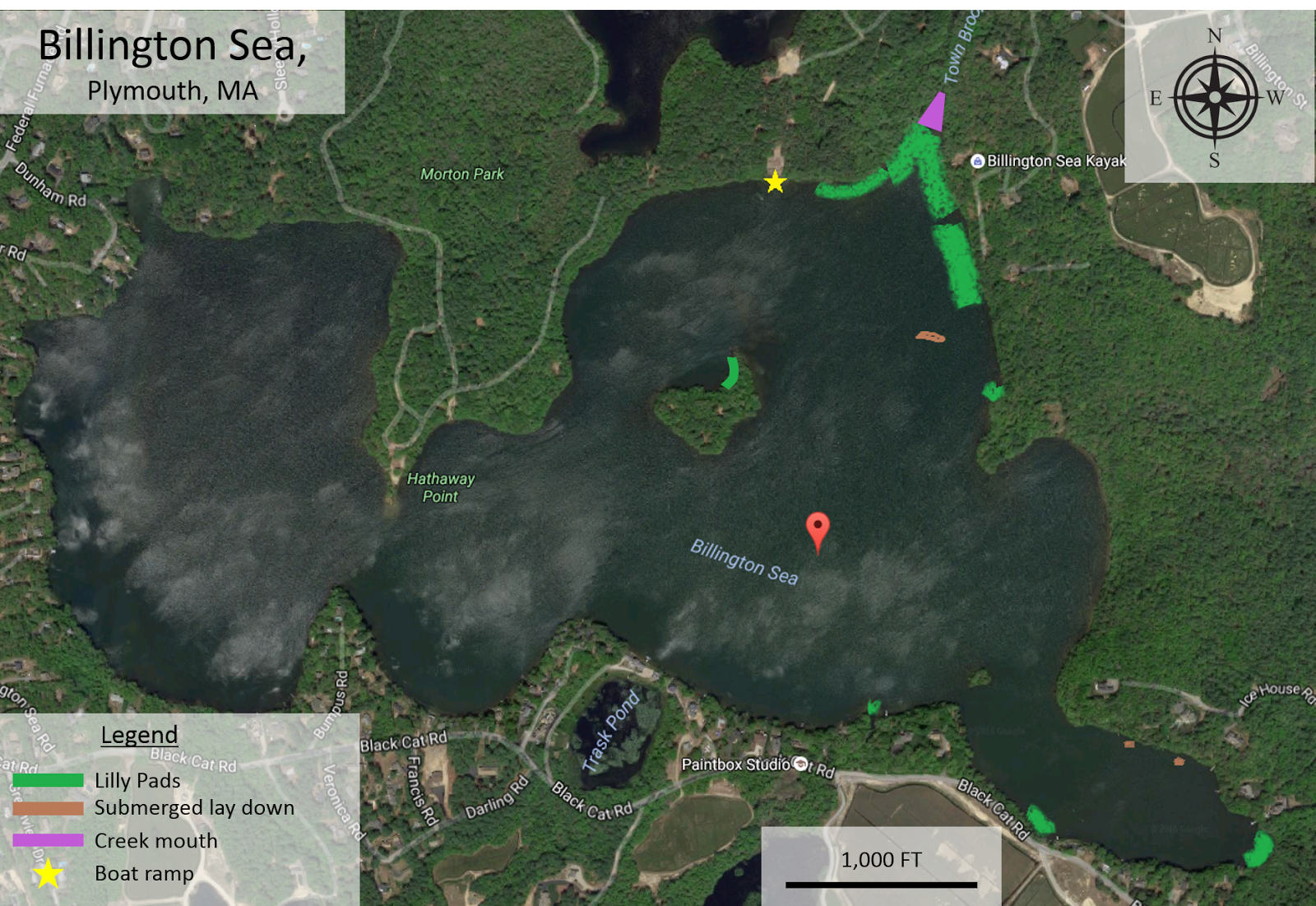 Massachusetts Bass Fishing Spots: Billington Sea, Plymouth, MA