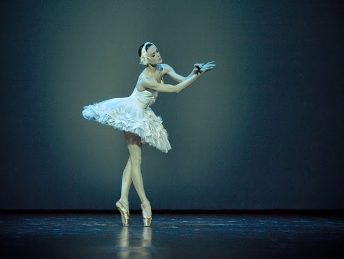 Ballet Cristina Faleroni: SERIE BALLET