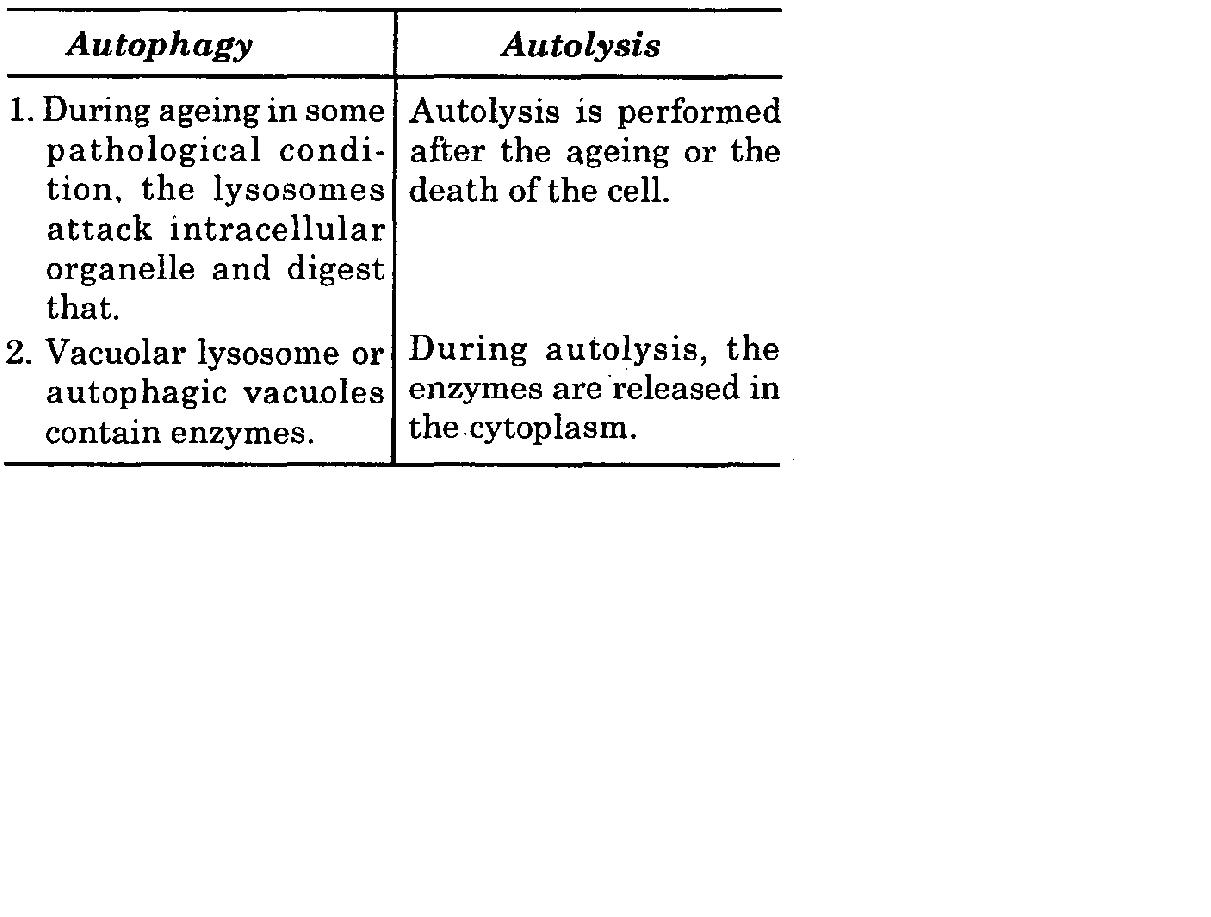 Elite English School-Dubai
