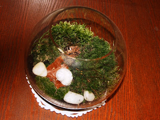 Letitia svetu: Malá machová krajinka