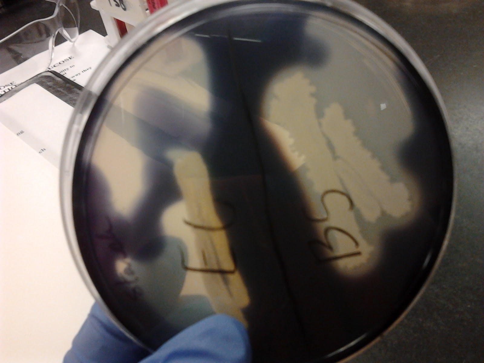 Microbiology Ejournal