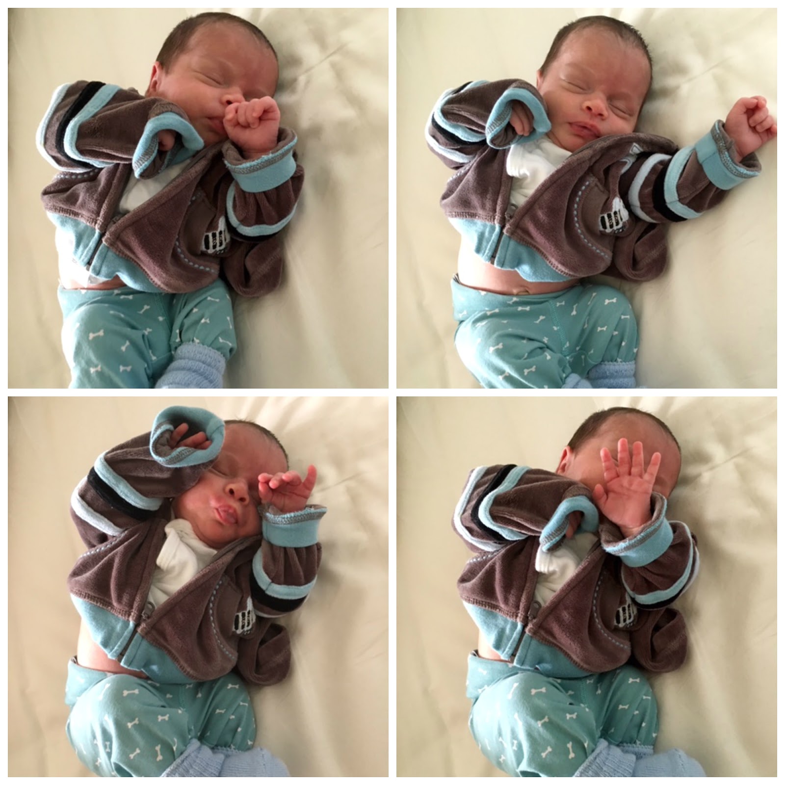 Love That Max : Happiness secret: aim low and kiss your baby boss