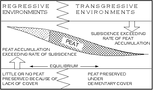 Definisi Batubara Secara Umum