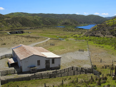 Dizzy's folding bike: Pencarrow and Baring Head